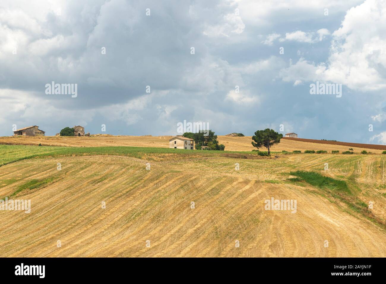 Rural landscape near Serracapriola, Foggia, Apulia, Southern Italy, at ...