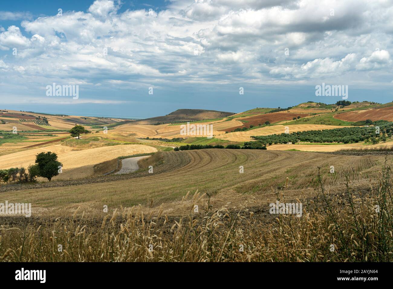 Rural landscape near Serracapriola, Foggia, Apulia, Southern Italy, at ...