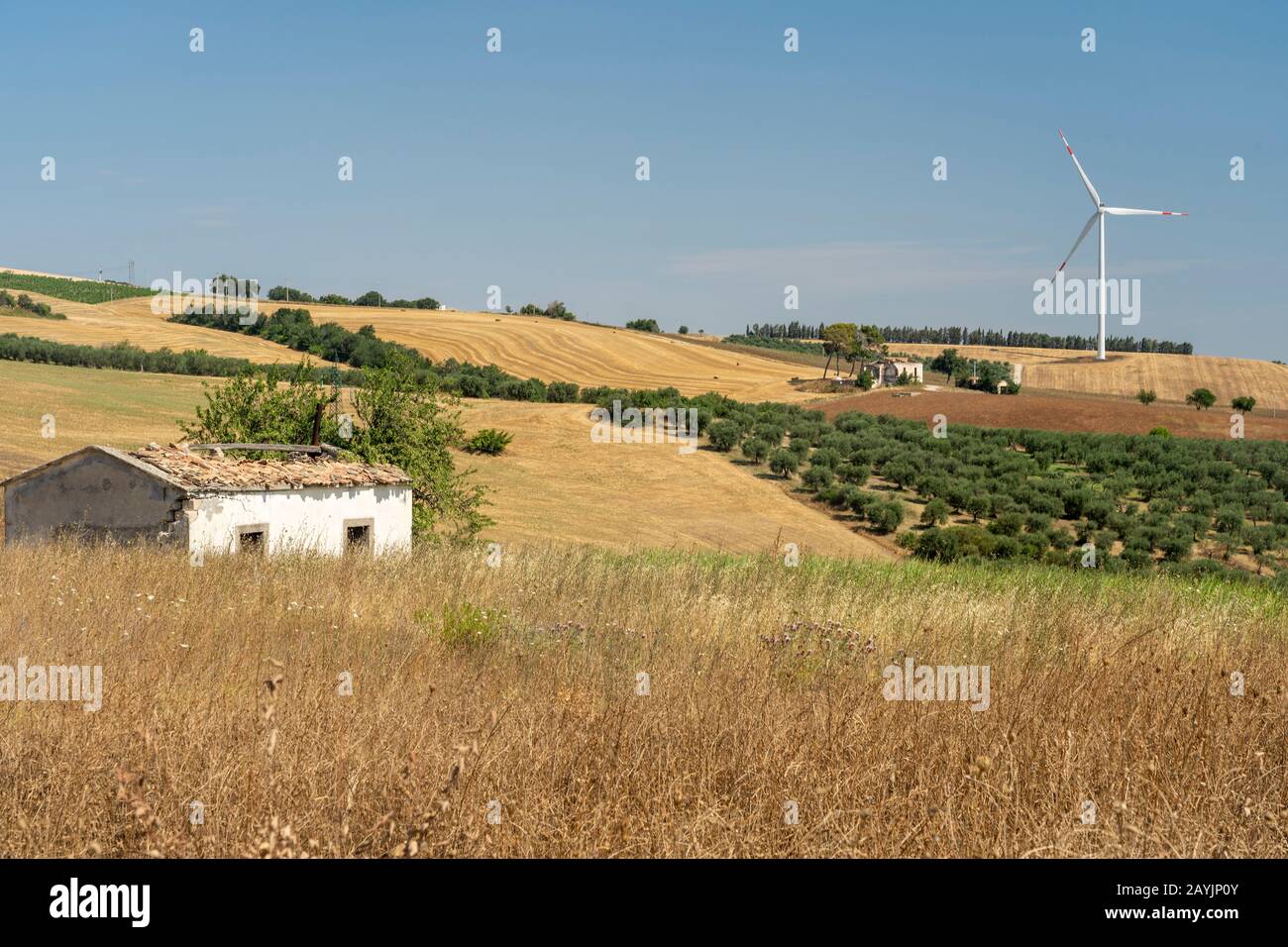 Rural landscape near Venosa, Potenza, Basilicata, Southern Italy, at ...