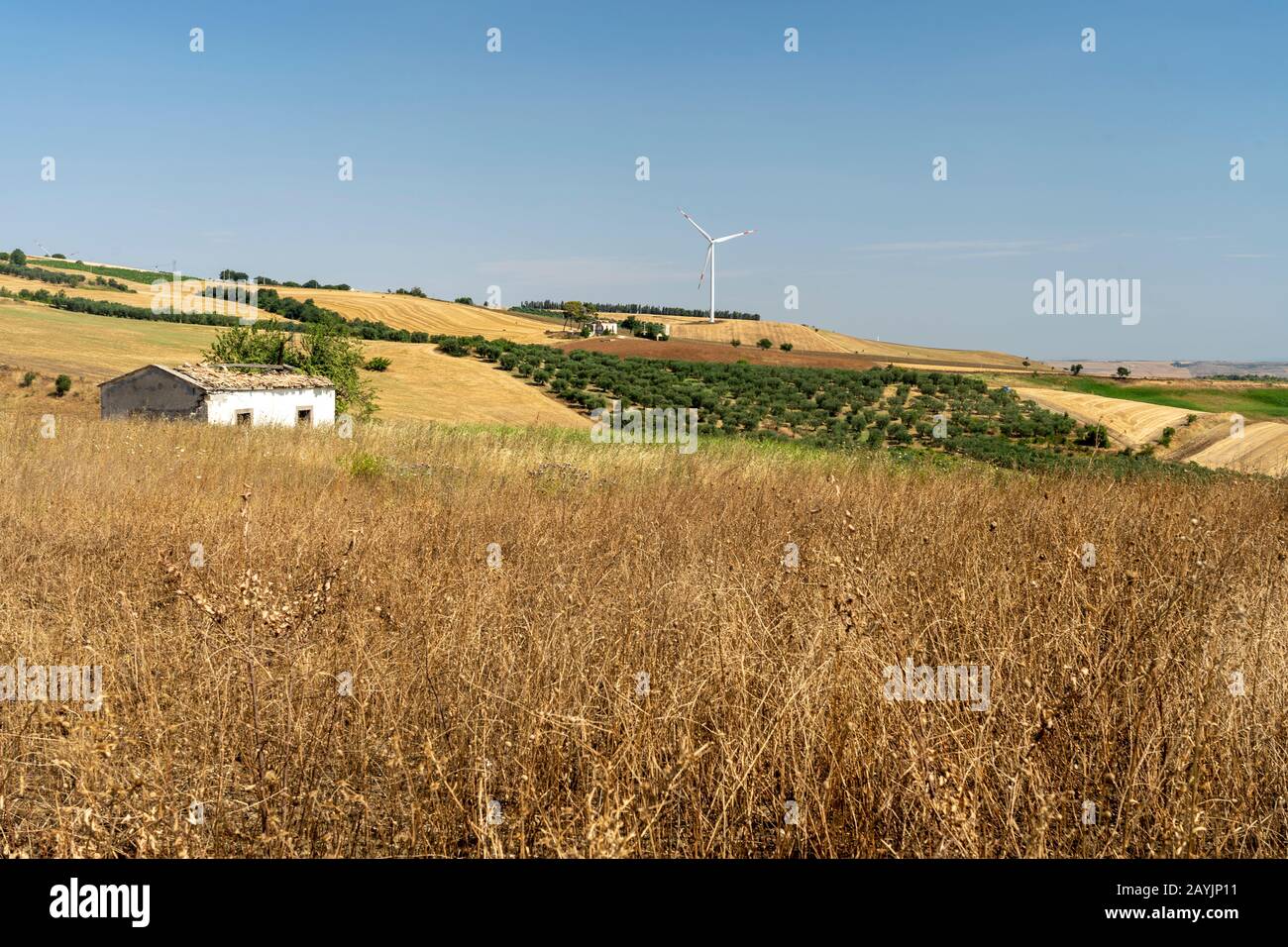 Rural landscape near Venosa, Potenza, Basilicata, Southern Italy, at ...