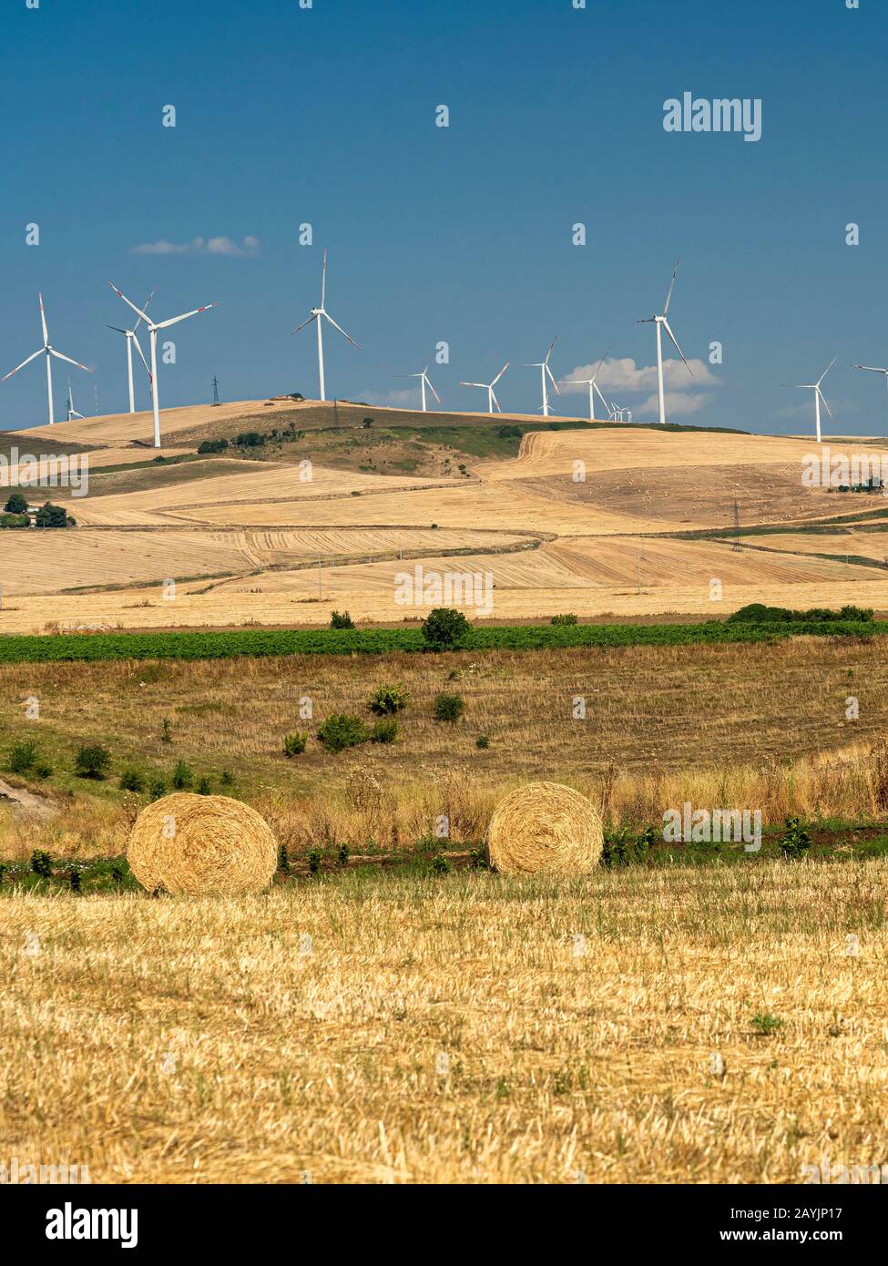 Rural landscape near Venosa, Potenza, Basilicata, Southern Italy, at ...