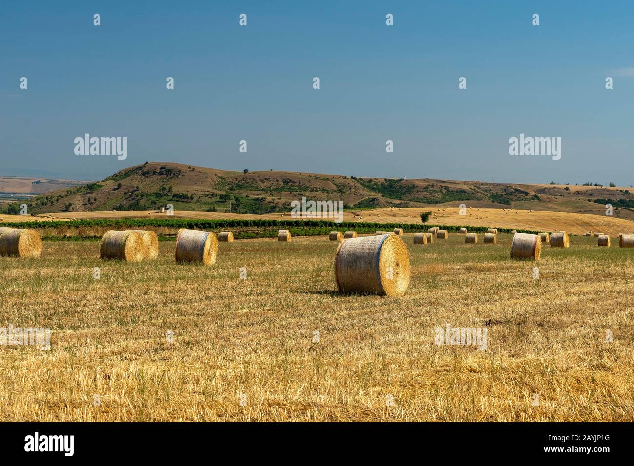 Rural landscape near Venosa, Potenza, Basilicata, Southern Italy, at ...