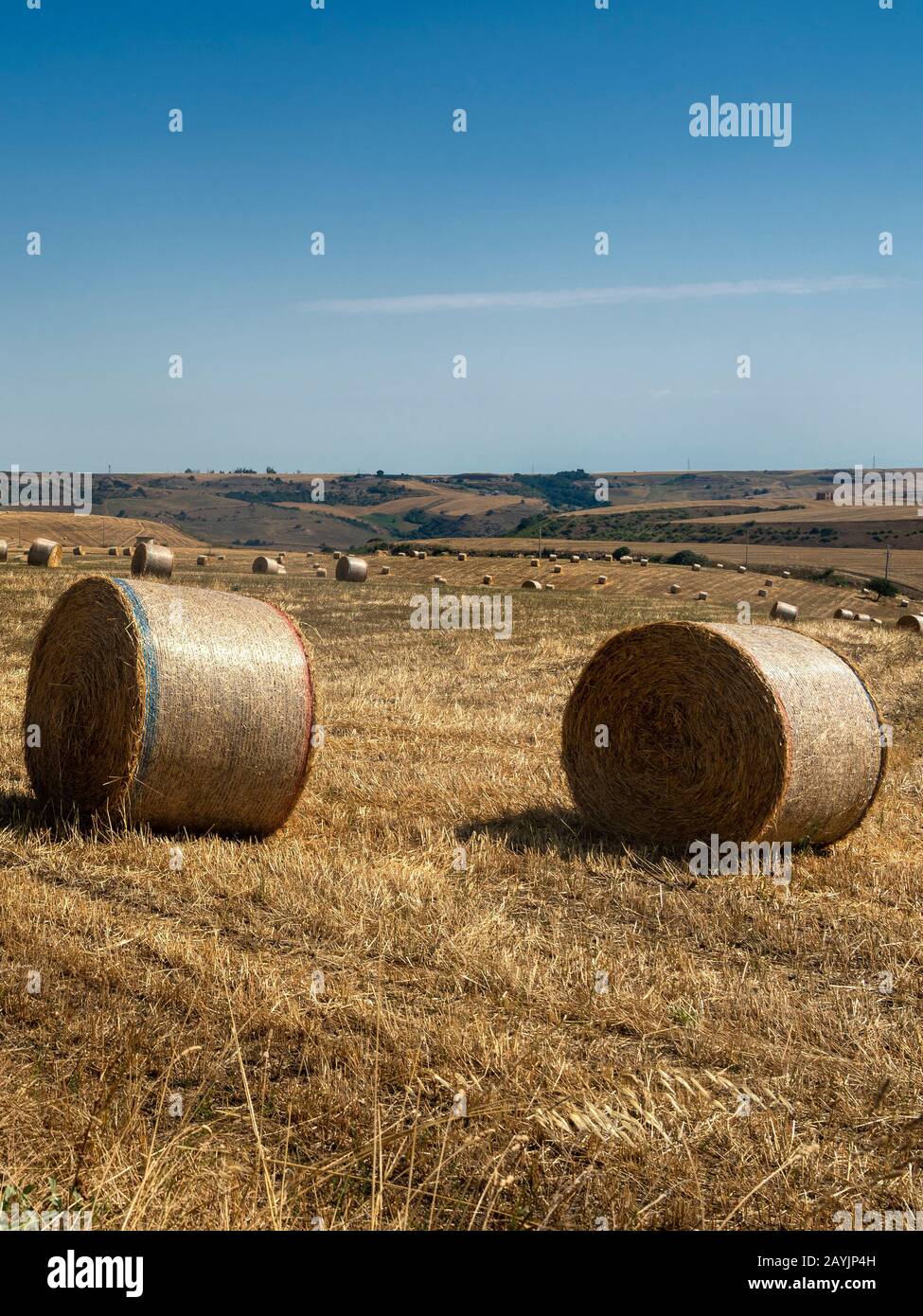 Rural landscape near Venosa, Potenza, Basilicata, Southern Italy, at ...