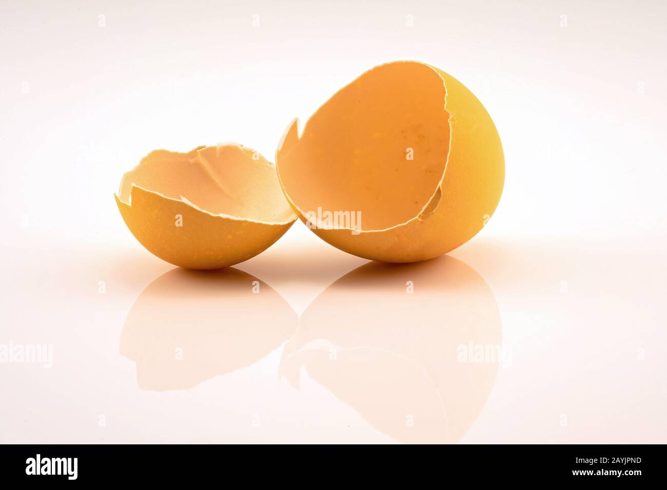 Eggshell membrane hi-res stock photography and images - Alamy