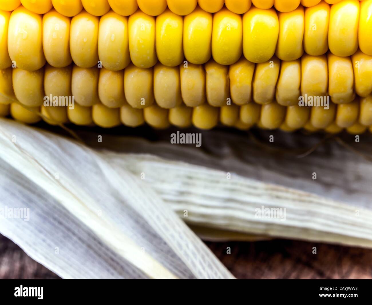 Texture of raw corn cob sweet maize Stock Photo - Alamy