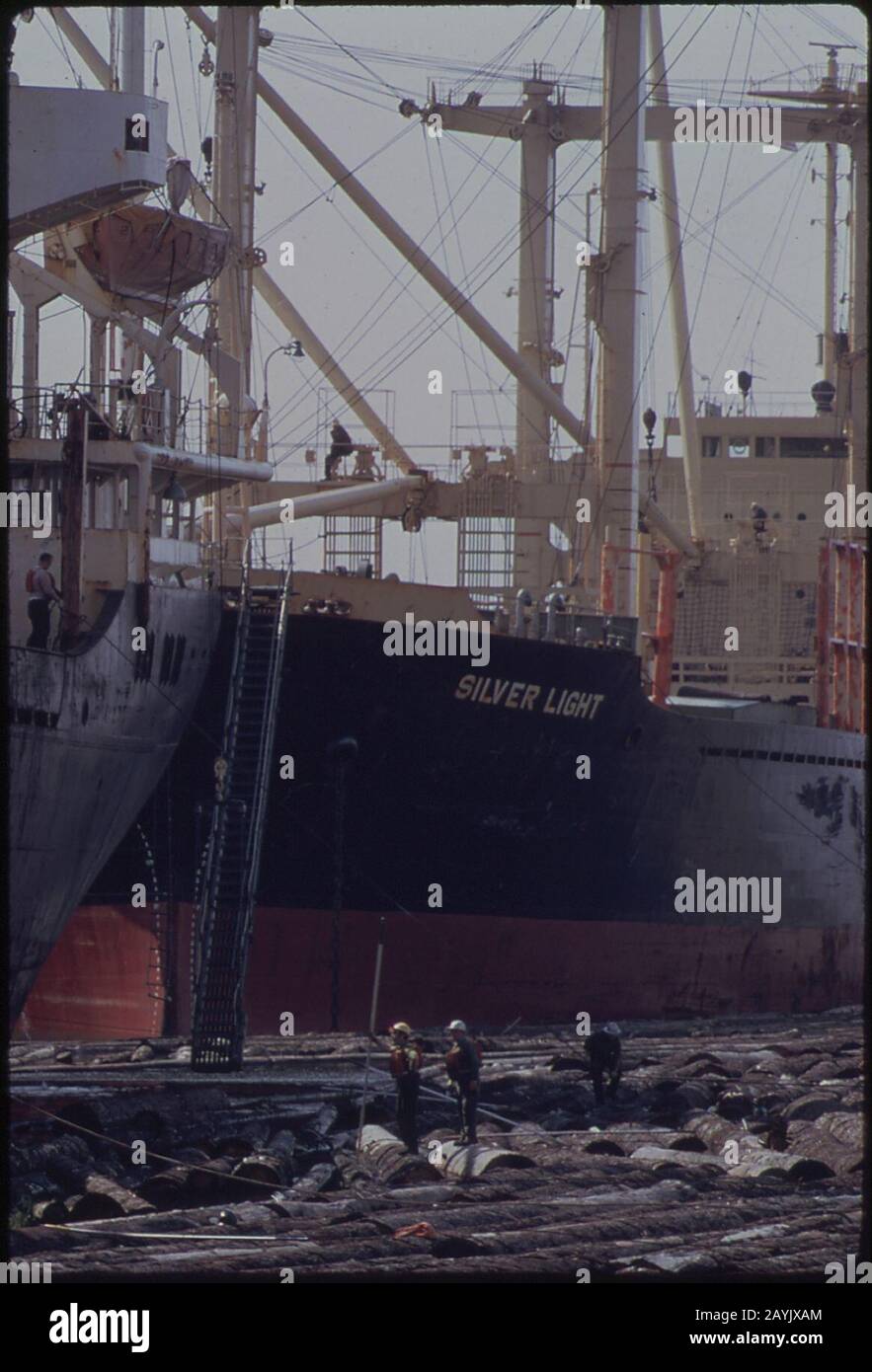 Logs For Export High Resolution Stock Photography and Images - Alamy