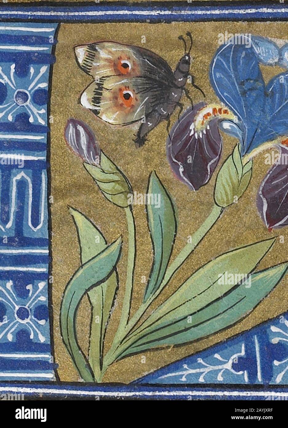 French - Leaf from Alphabet Book Stock Photo - Alamy