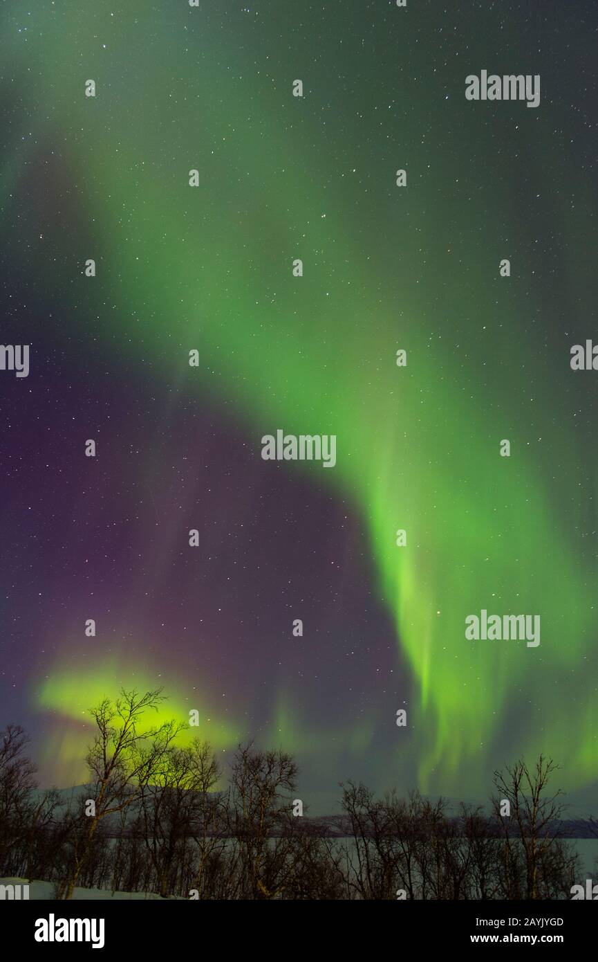 An aurora sometimes referred to as polar lights, northern lights ...