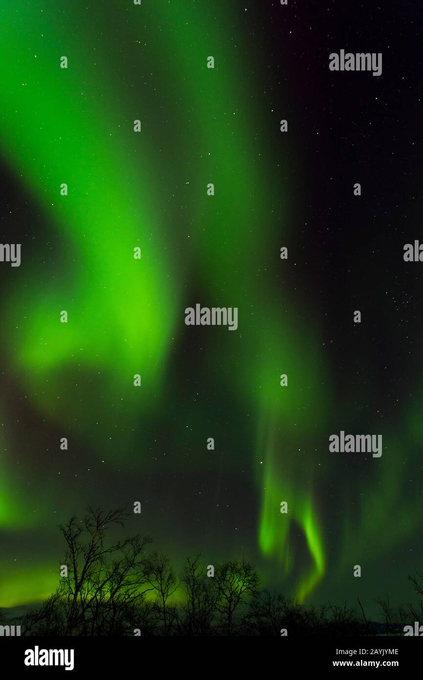An aurora sometimes referred to as polar lights, northern lights ...
