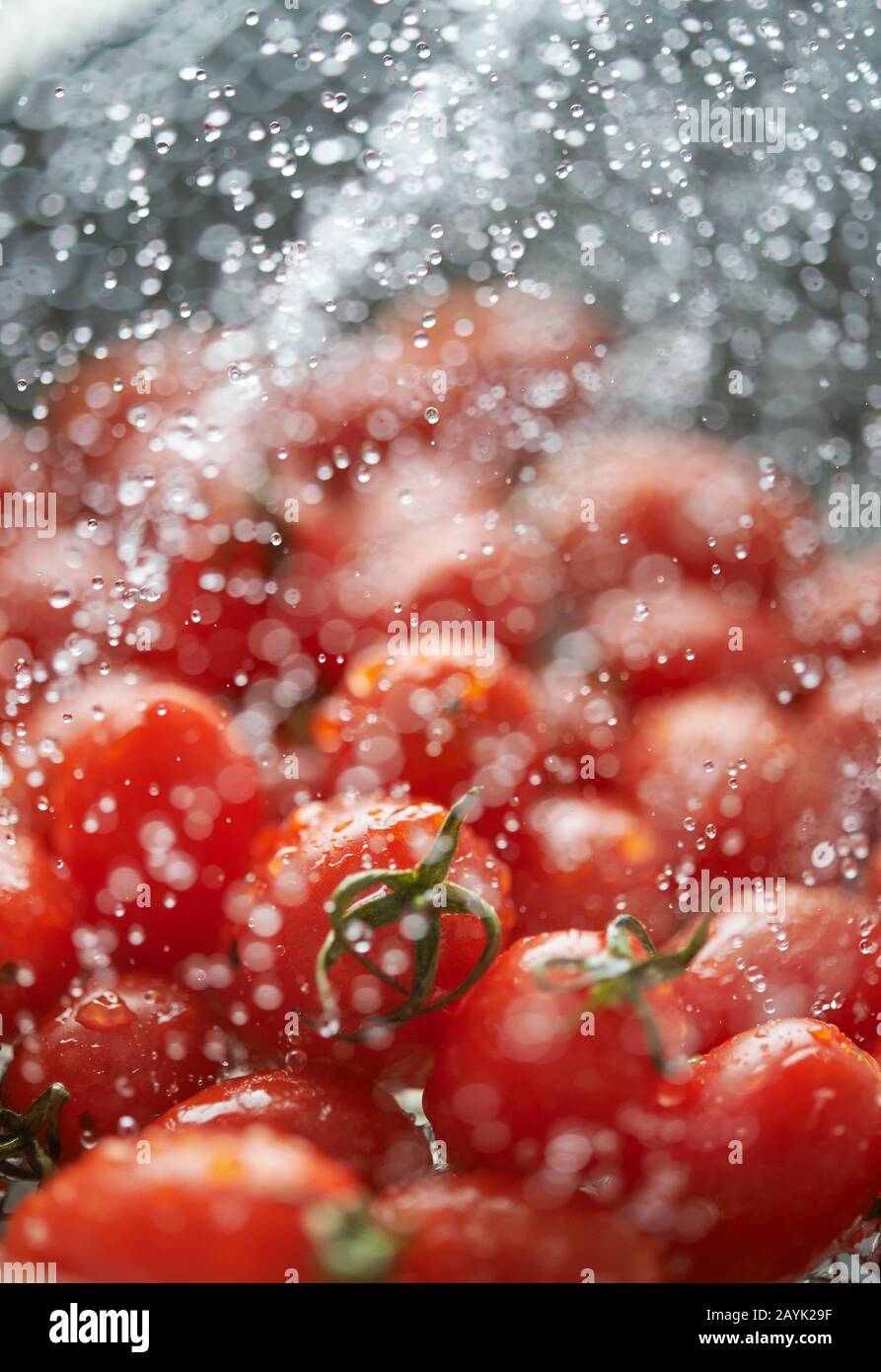 Cleaning the vivid red ripe tomatoes in the metal wire basket Stock ...