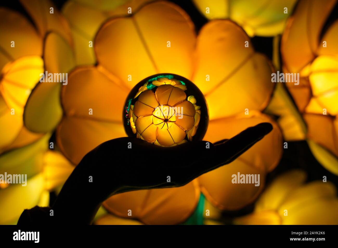 Glass sphere photography of a flower at the China Lights Festival in ...