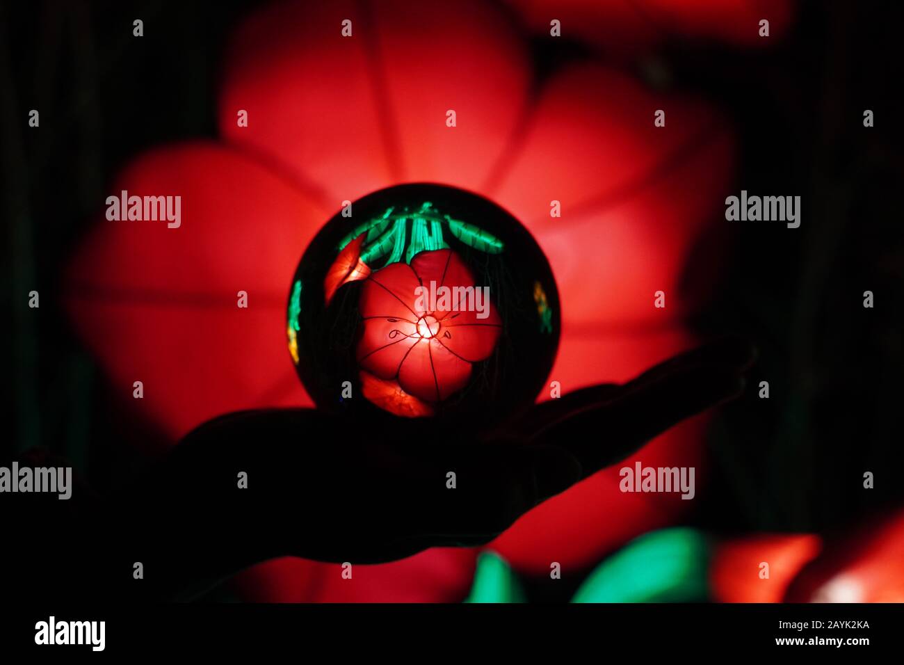 Glass sphere photography of a flower at the China Lights Festival in ...