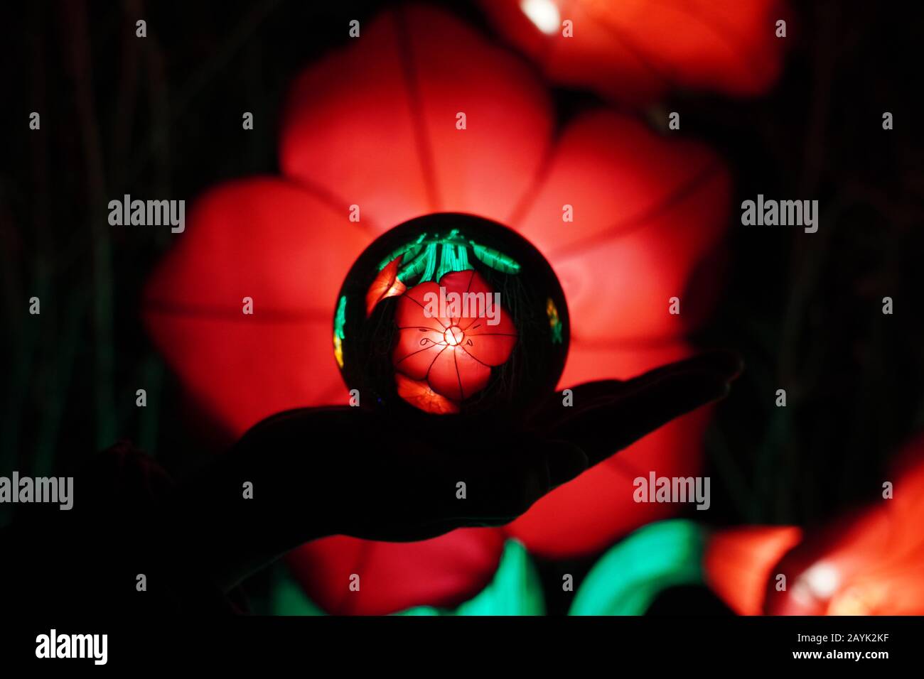 Glass sphere photography of a flower at the China Lights Festival in ...