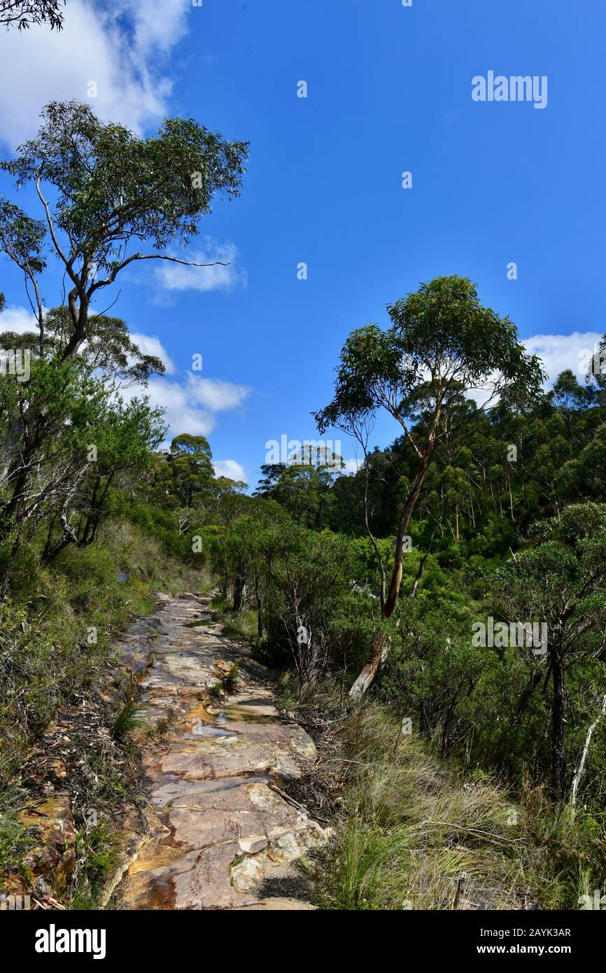Sydney walking trails hi-res stock photography and images - Alamy