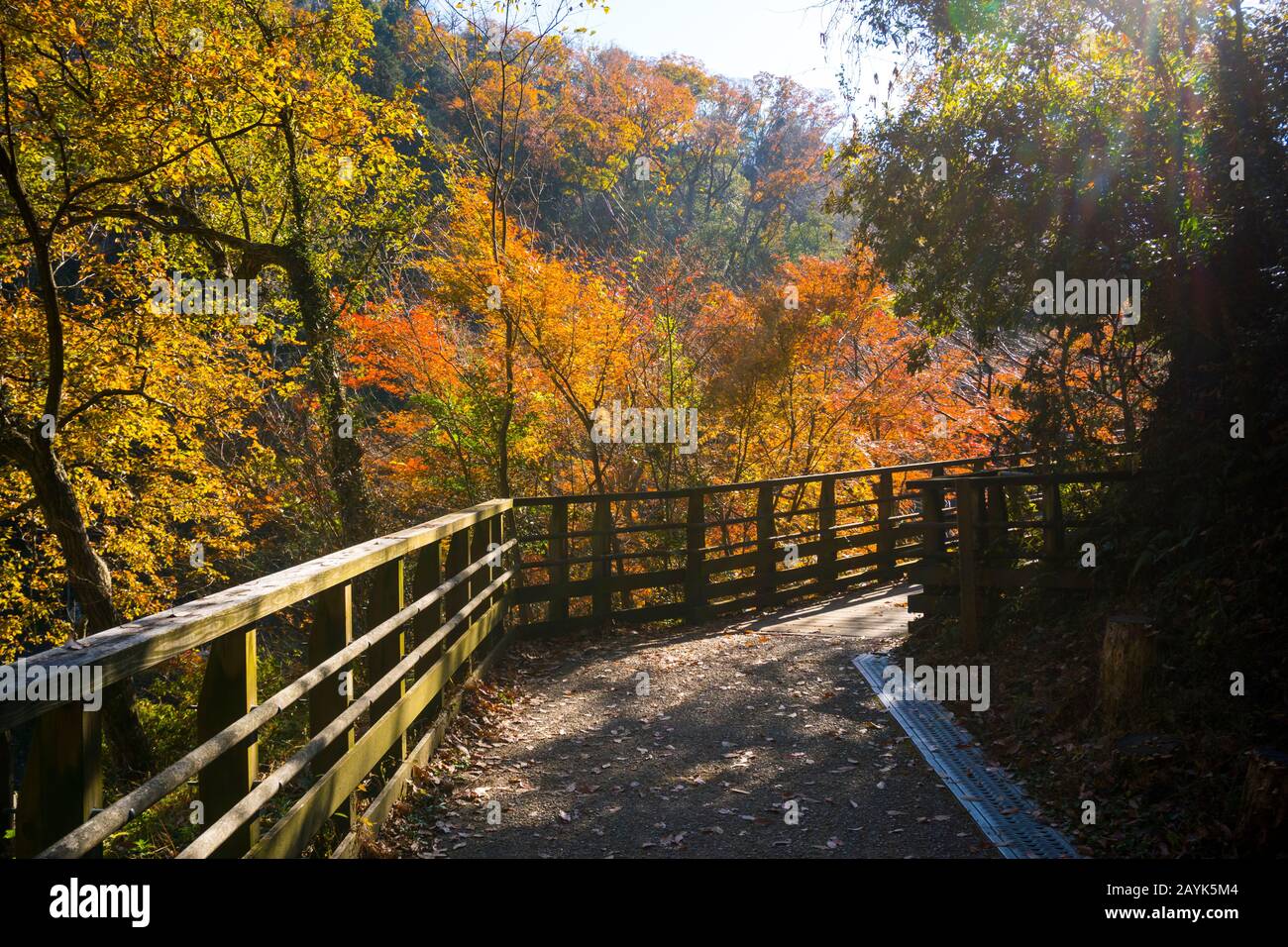 Colorful autumn trail in countryside of Osaka, Japan Stock Photo - Alamy