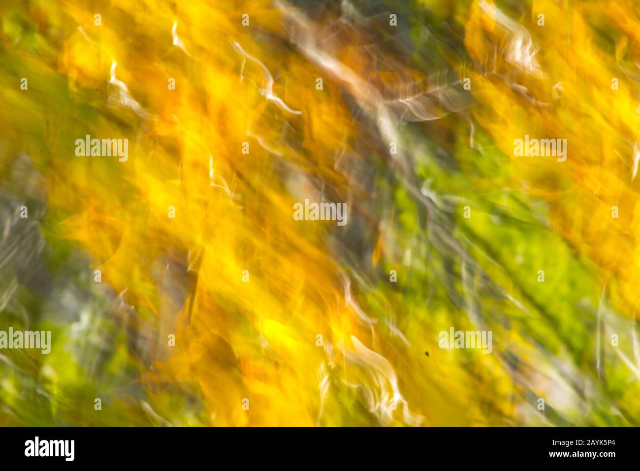 Abstract autumn leaves blowing in wind Stock Photo - Alamy