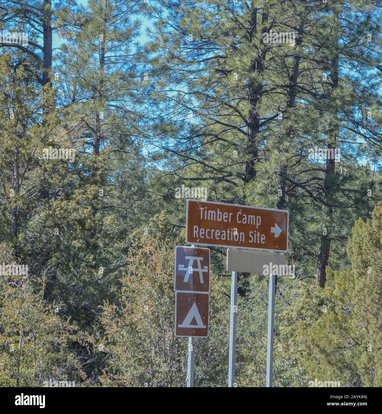 Timber camp recreational site hi-res stock photography and images - Alamy