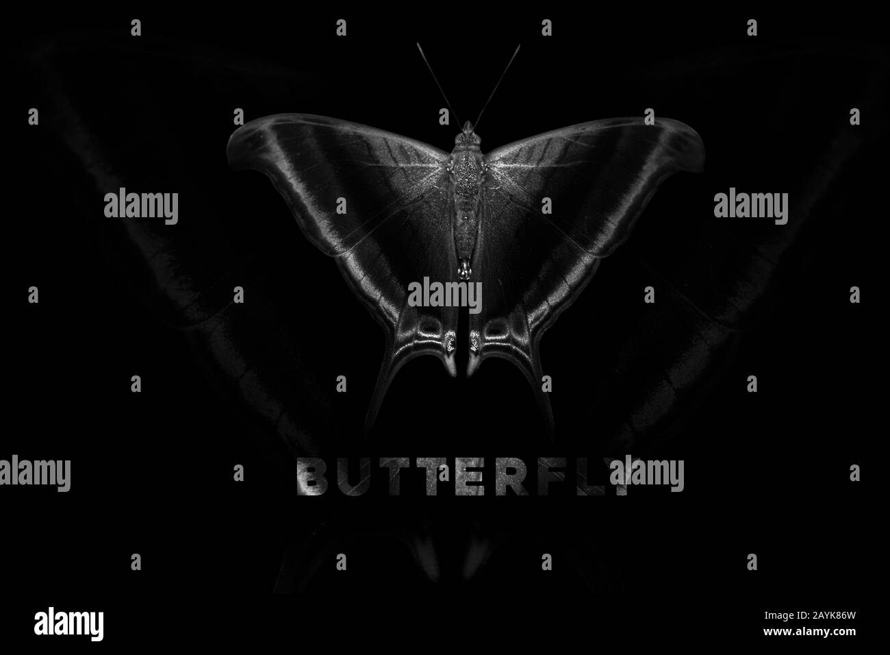 Watercolour nature background Black and White Stock Photos & Images - Alamy