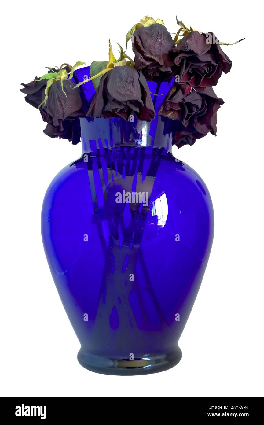 Decayed roses Cut Out Stock Images & Pictures - Alamy