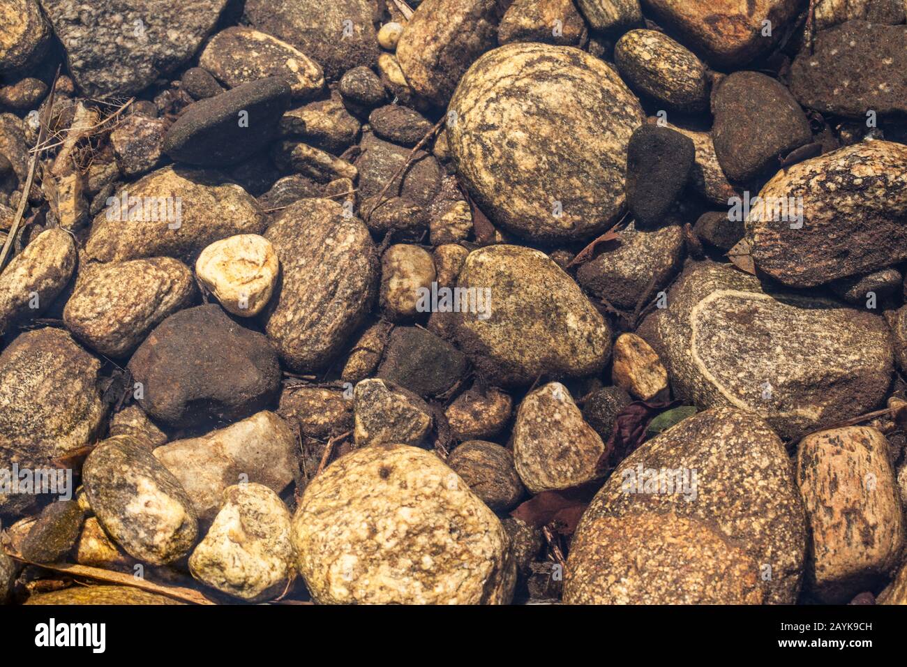 River Bed - Stones beneath the clear water of a river (stone, texture ...