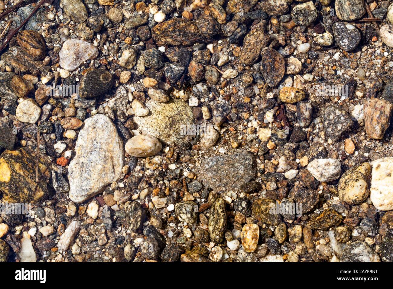 River Bed - Stones beneath the clear water of a river (stone, texture ...