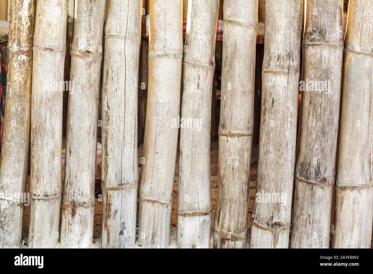 Bamboo wall/background dry Stock Photo - Alamy