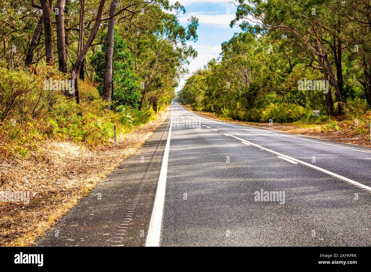 Country road and natural bushland in Victoria Australia Stock Photo - Alamy