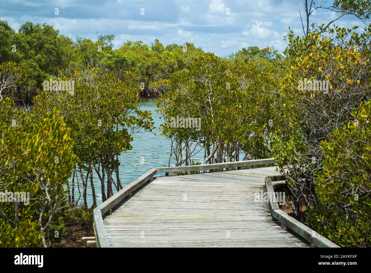 Boondal Wetlands walkway is banked by mangrove and tidal waters ...