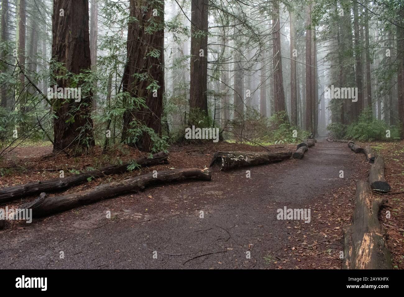There are many walking trails inside Joaquin Miller Park in Oakland, CA ...