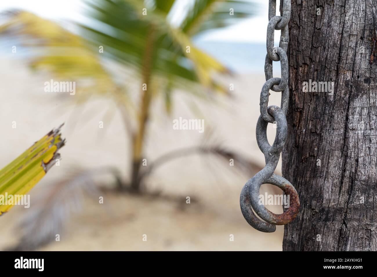 Rustic wooden texture, empty Chain Soft wood background with natural ...