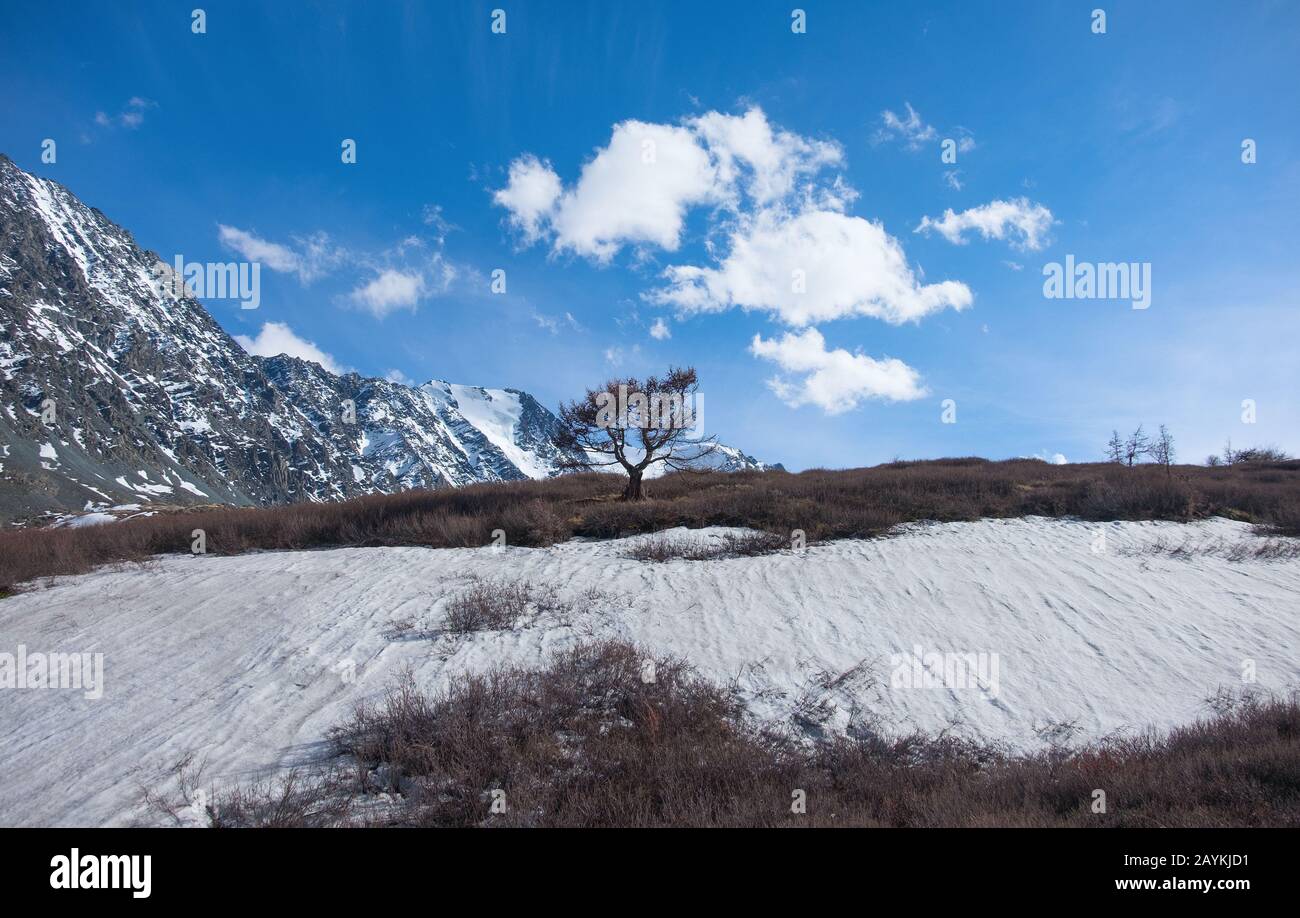 Desert snowscape hi-res stock photography and images - Alamy