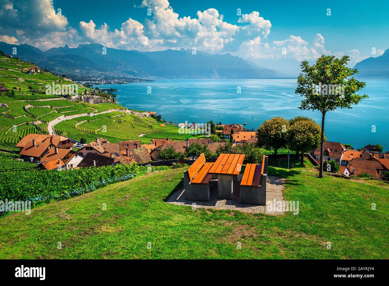 Stunning view from the resting place with vineyards and lake Geneva in ...
