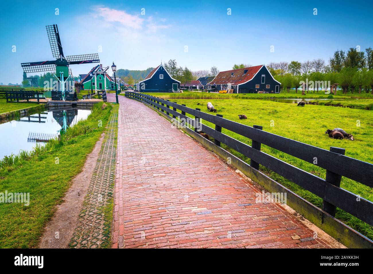 Dutch countryside street with traditional wooden windmill and grazing ...