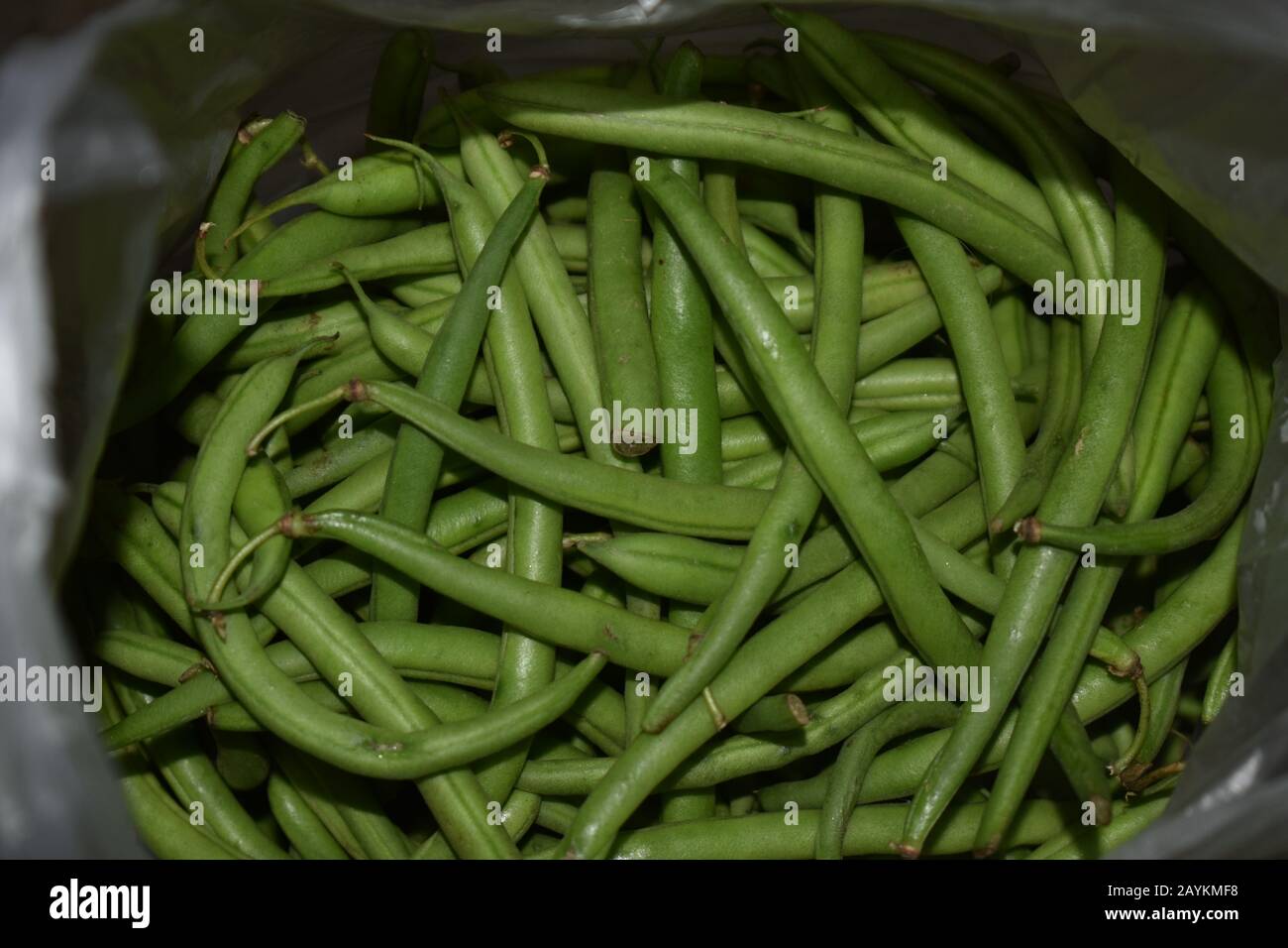 A bunch of beans in the bucket Stock Photo - Alamy