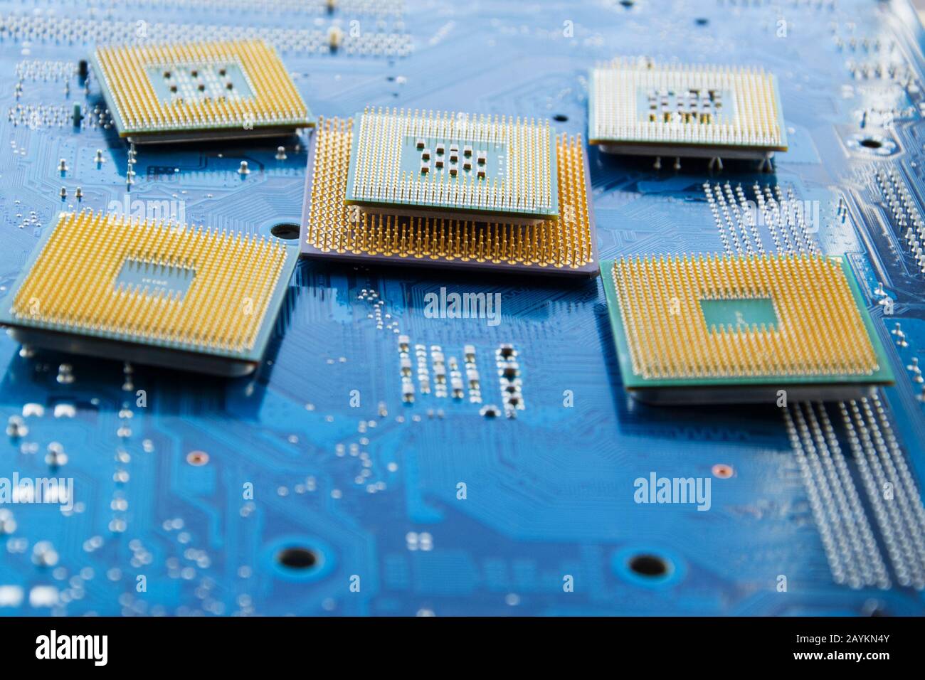 Many computer CPU Central Processing Unit close-up on the motherboard background, socket of ...