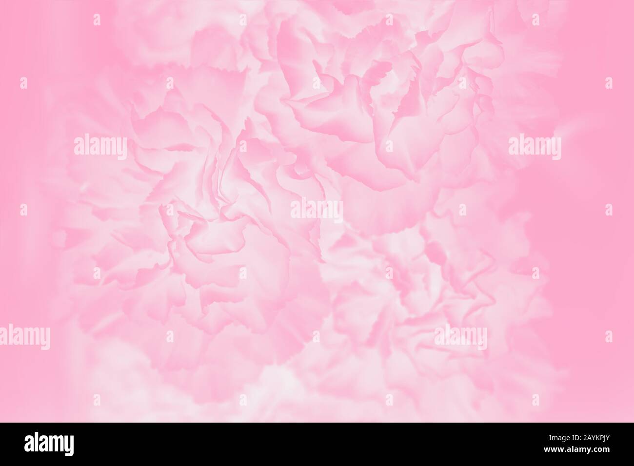Pale pink abstract background. Floral gradient background, delicate ...