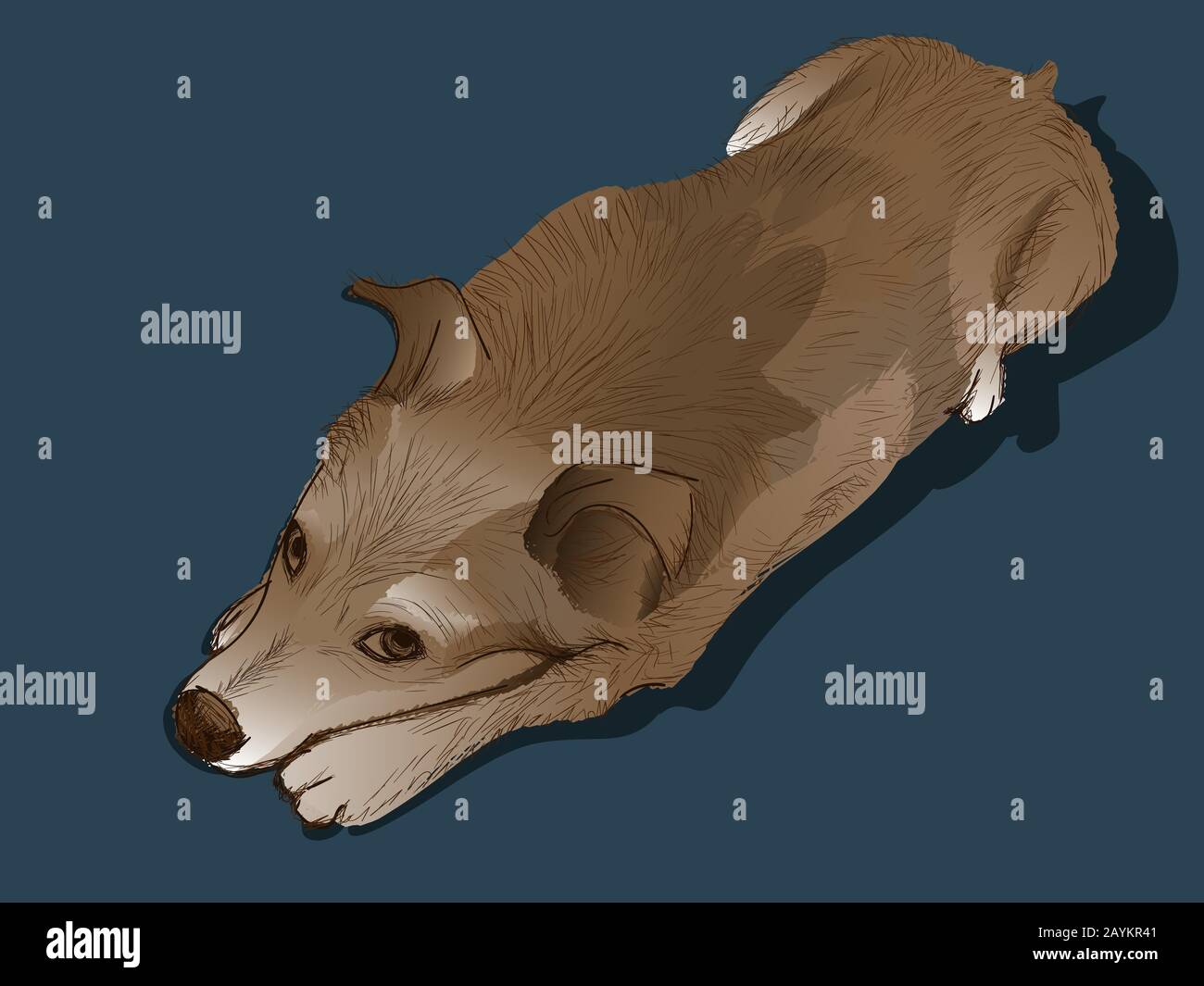 Cute realistic ginger dog lying on dark blue background and looking up ...