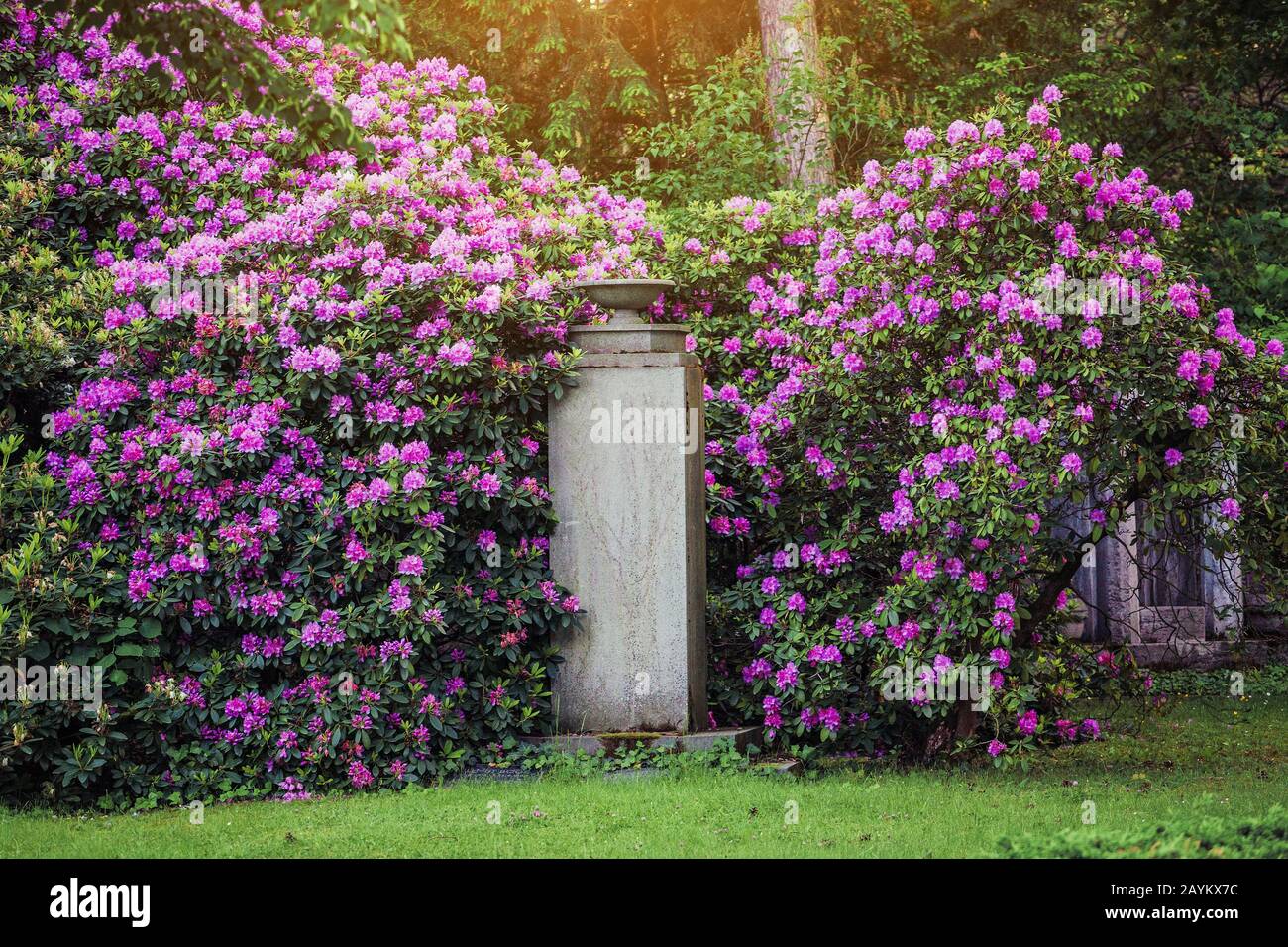 cemetery in the spring with beautifully blooming flowers and trees, the ...