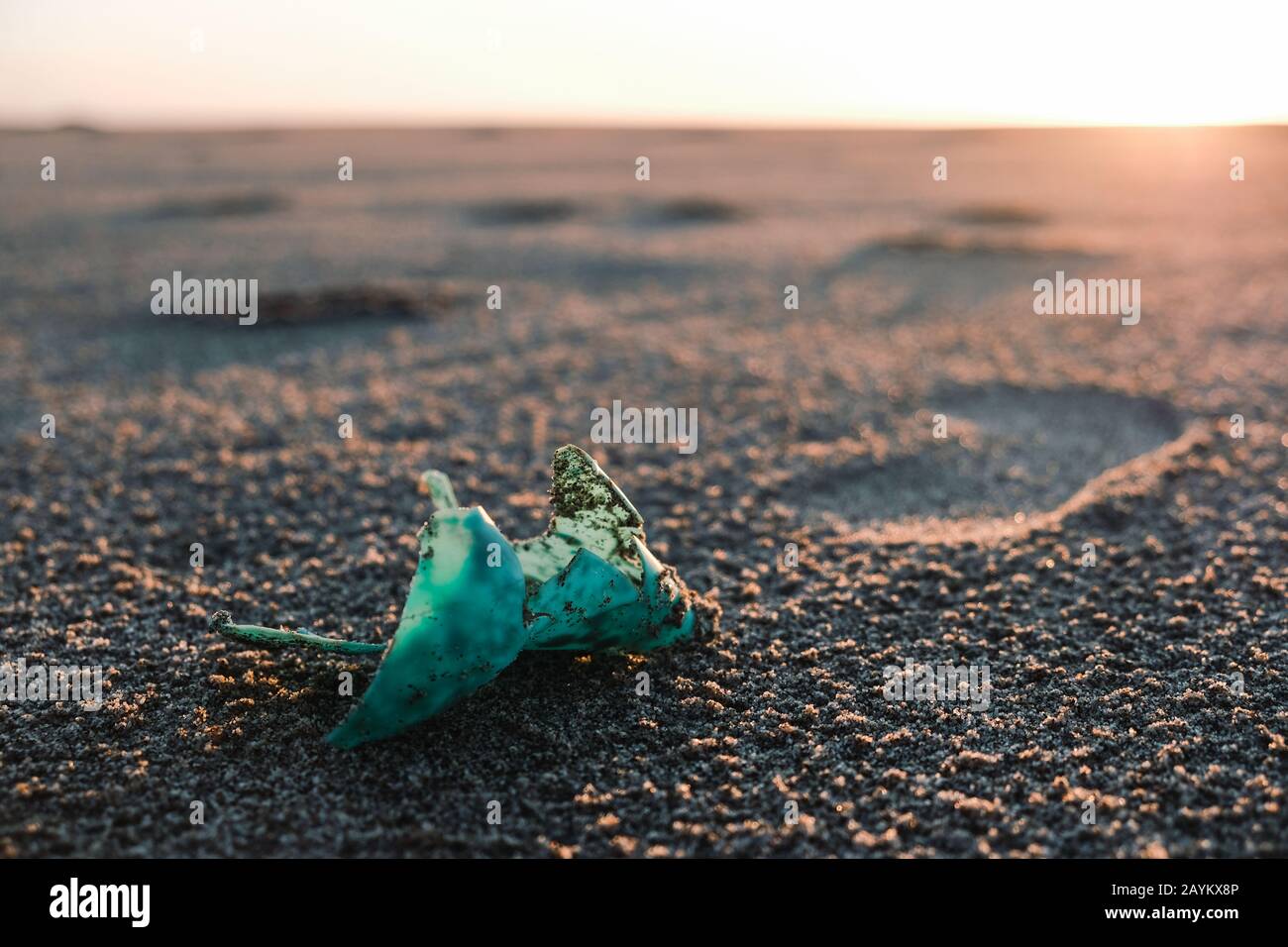 Plastic container on sandy sea coast polluted ecosystem,planet save ...