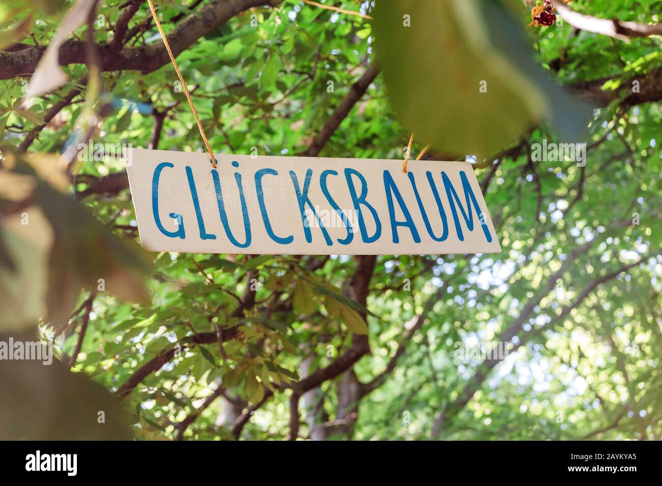 happy tree sign hanging on a branch Stock Photo - Alamy
