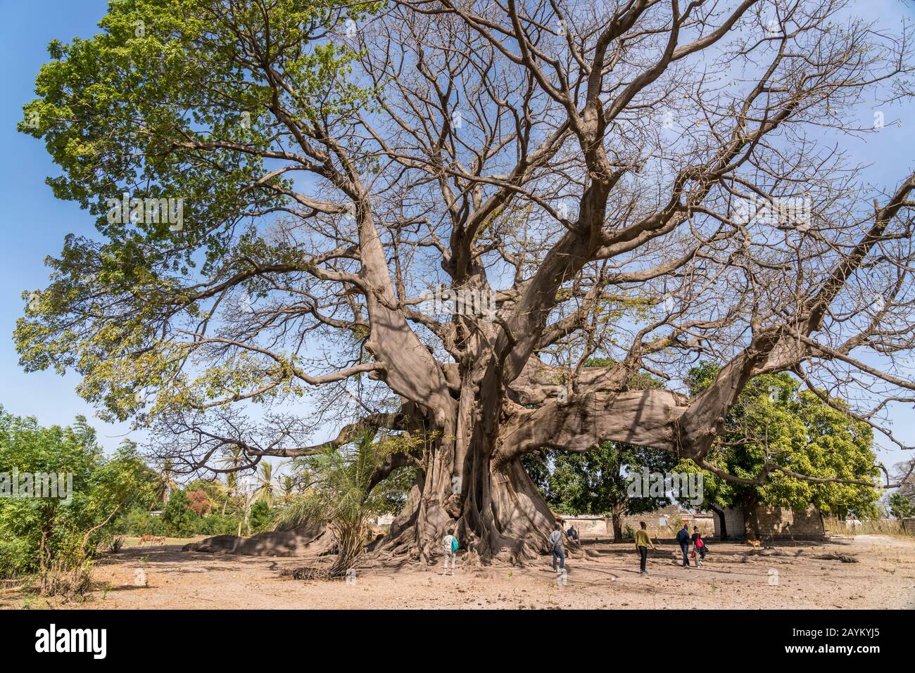 Fromager High Resolution Stock Photography and Images - Alamy