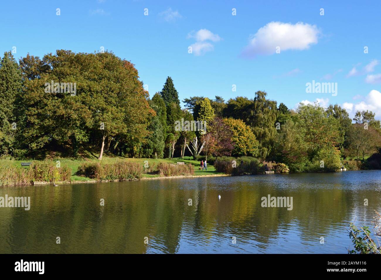 Cirencester abbey grounds hi-res stock photography and images - Alamy