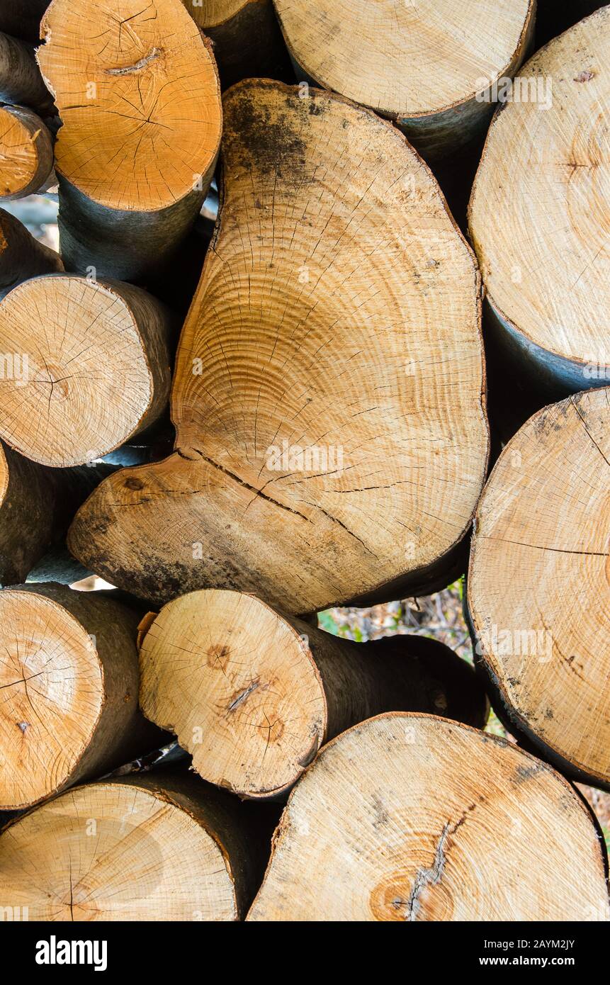 Round wood storage hi-res stock photography and images - Alamy