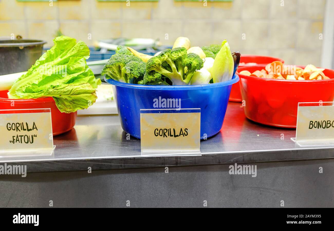 Zoo kitchen garden hi-res stock photography and images - Alamy