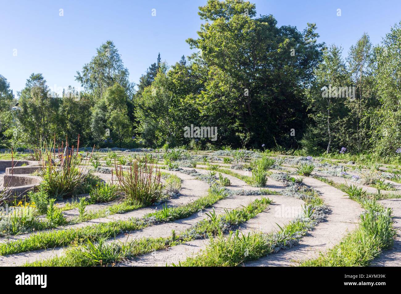 HOGSBACK, EASTERN CAPE, SOUTH AFRICA - December 31, 2017: Chartres ...