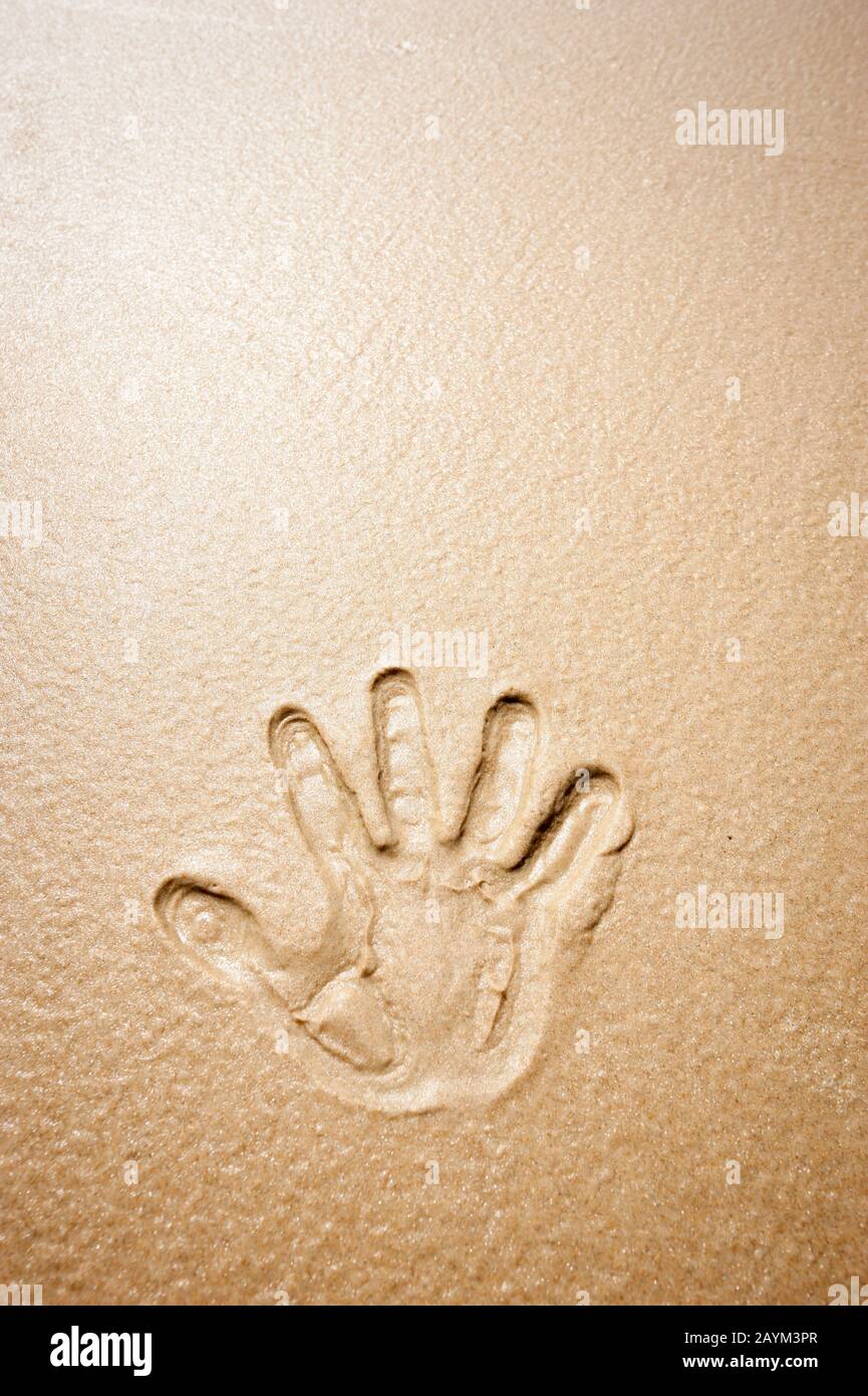 Single handprint in wet textured sand Stock Photo - Alamy