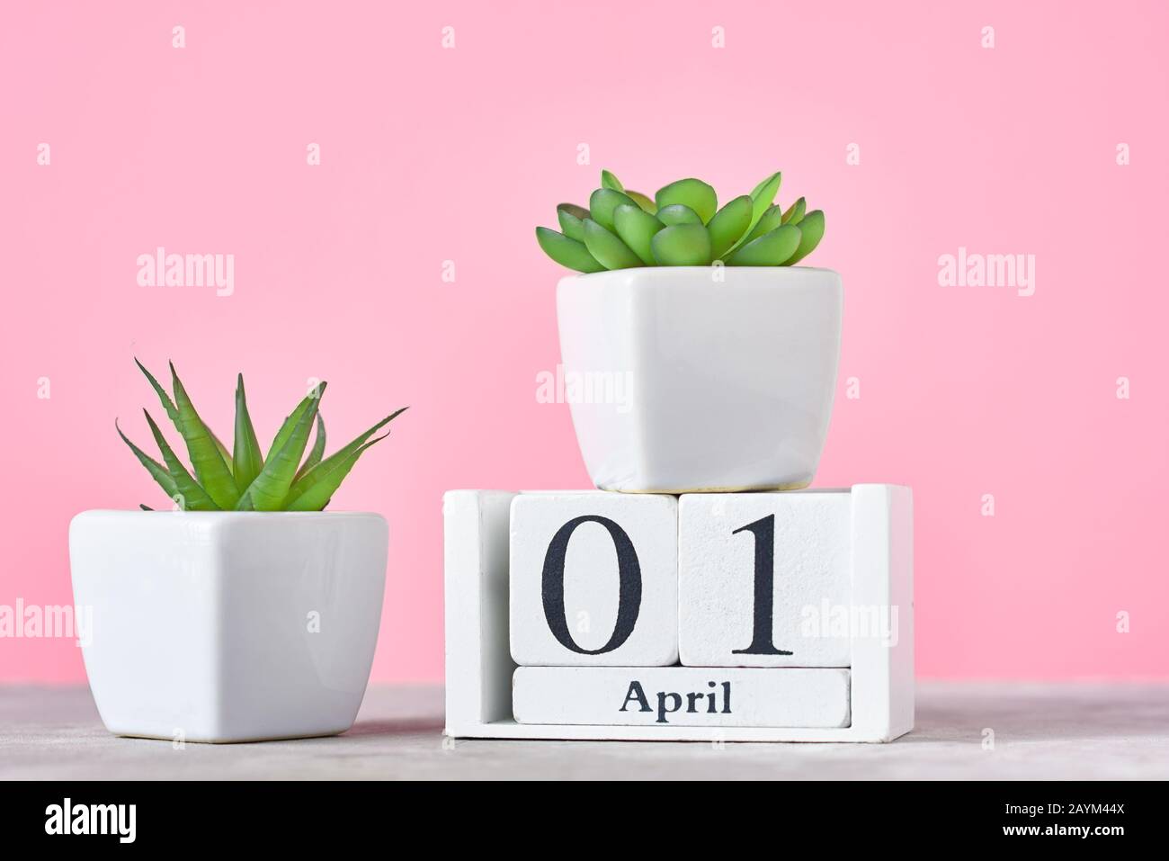 Wooden blocks calendar with date 1st april and plant on pink background ...