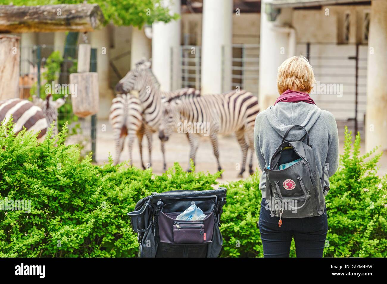Germany african park family hi-res stock photography and images - Alamy