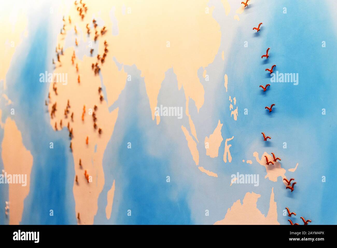 Geese migration map hi-res stock photography and images - Alamy