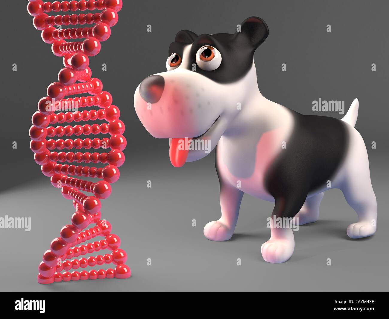 Clever puppy dog studies a strand of DNA, 3d illustration render Stock ...